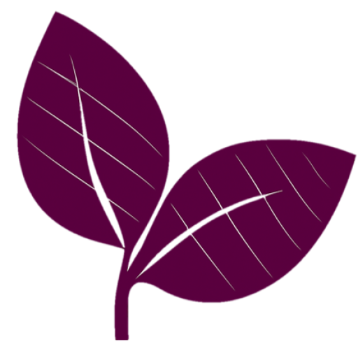 DUMMY PRODUCT – TEST – NORDICPLANTS.NO | Norsk nettbutikk